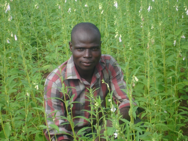 50 RUCHES POUR PASCAL - Ulule