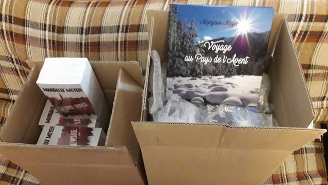 Aidez-moi à publier La Zone Rouge ! - Ulule