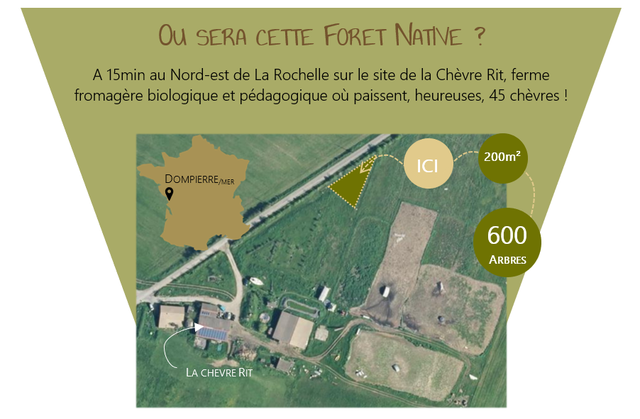Permafforest, Reforestation participative