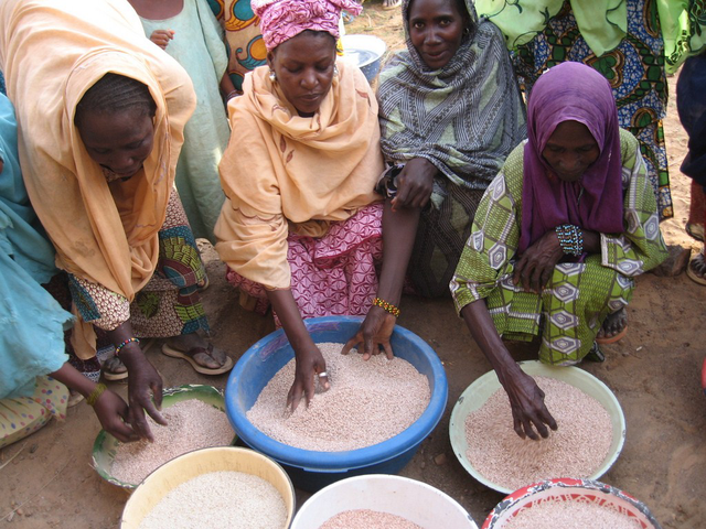 Un moulin pour aider les femmes (Sénégal) - Ulule