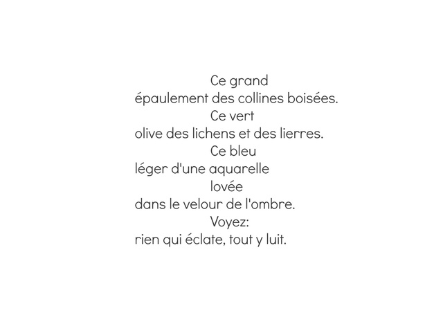 Matin des Arbres - Ulule