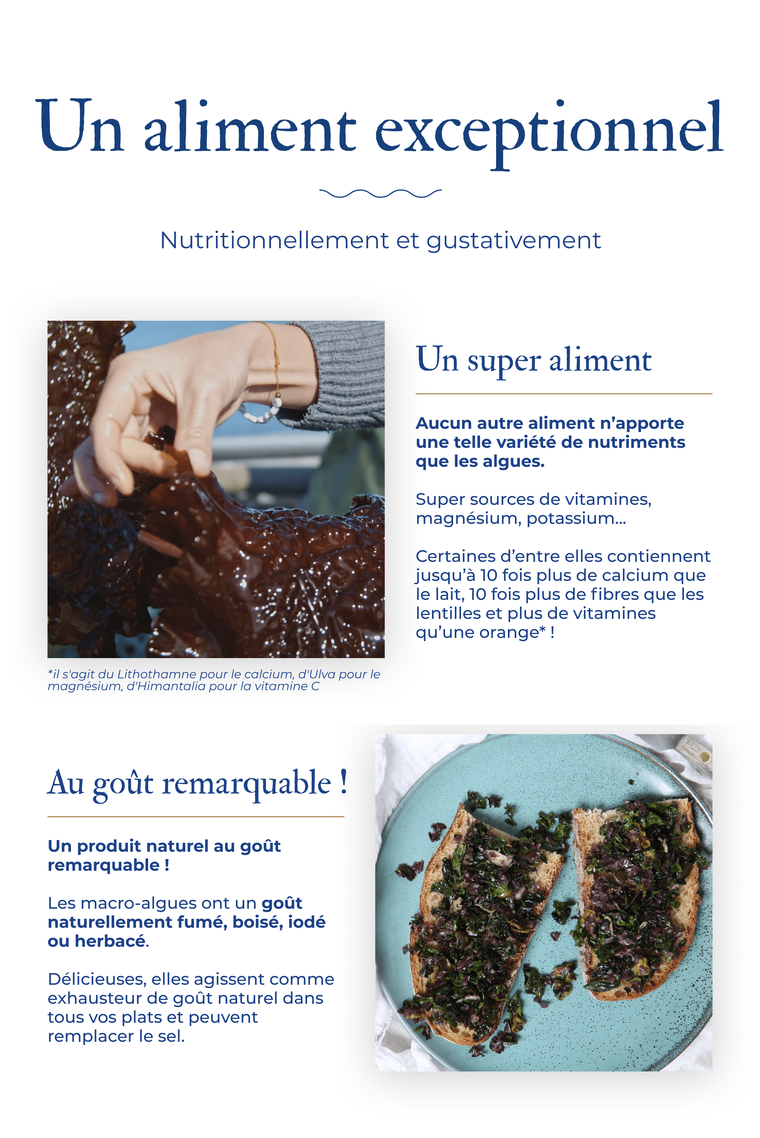 Neptune, les algues dans vos assiettes 🌿