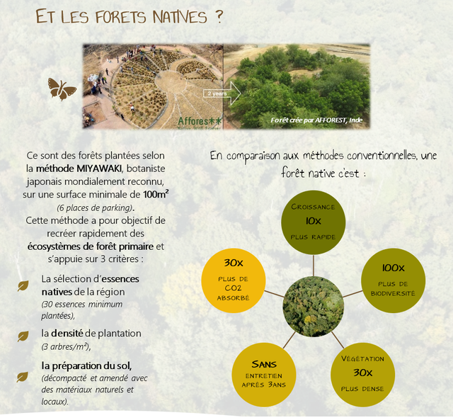 Permafforest, Reforestation participative