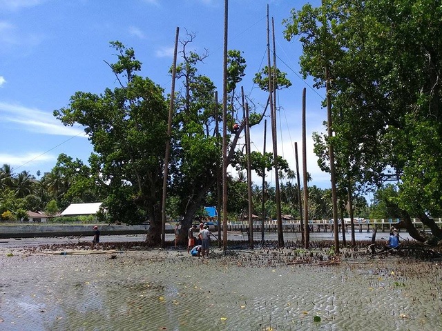 Trash / Tree houses - Ulule