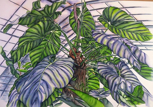 Exposition Mathilde Wolff