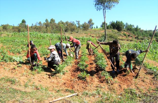 Madagascar : Manger aujourd'hui, Apprendre demain - Ulule
