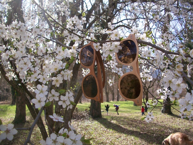 Empelt lunettes en bois. - Ulule