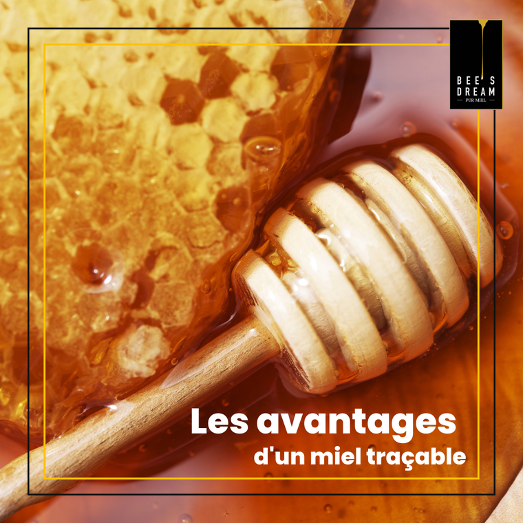 Vos abeilles, votre miel en alvéoles ;-) - On continue ! - Ulule