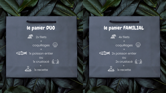 Fish To Go : Le panier de la mer responsable. - Ulule