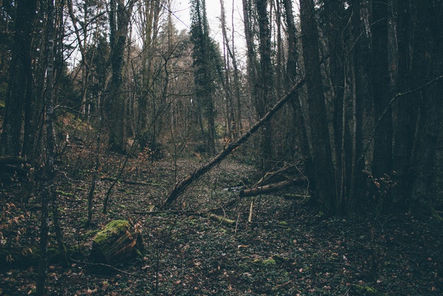 L'impermanence