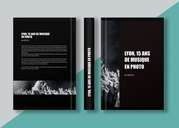 Lyon, 15 ans de musique en photo