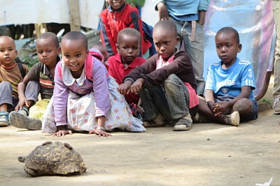 A sandman at the orphanage - Ulule