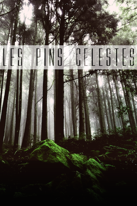 Les Pins Célestes - Ulule
