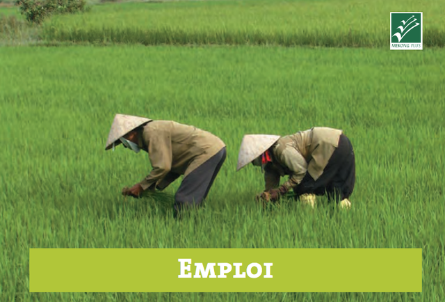 Challenge 400km vélo avec l'ONG Mekong Plus