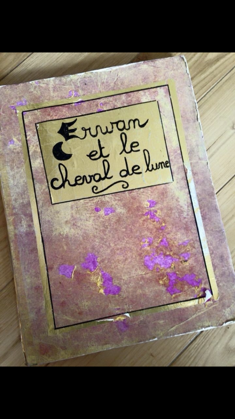 ERWAN ET LE CHEVAL DE LUNE