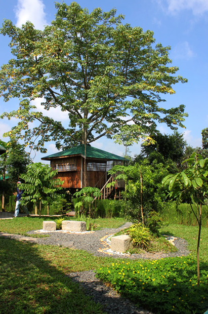 Tsiky Zanaka aux Philippines - Ulule