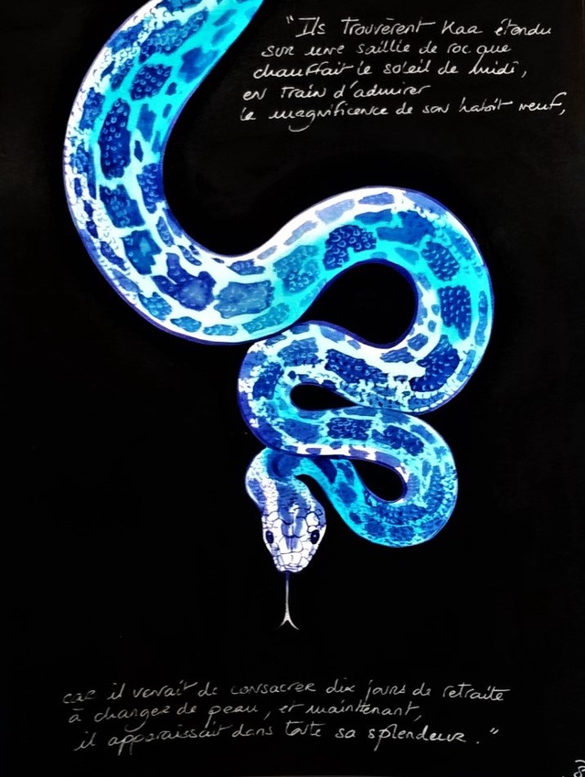 Blue Jungle Book - Ulule