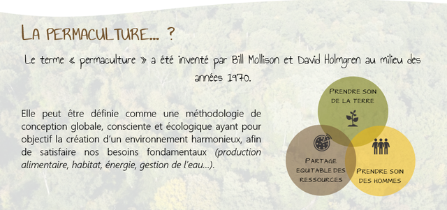 Permafforest, Reforestation participative