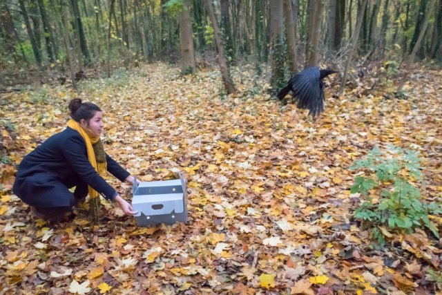 Secourons la faune sauvage en détresse ! - Ulule