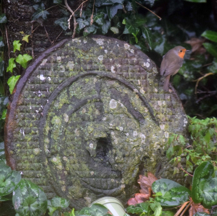 "Le secret du Mister" - Ulule