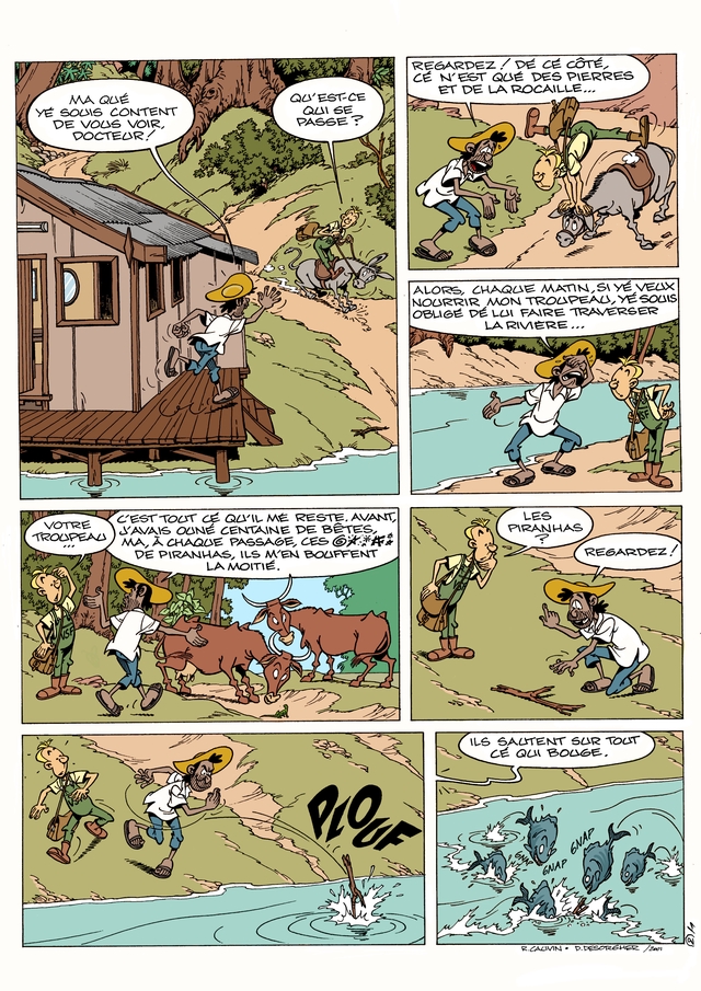 Vétos sans frontières - Ulule