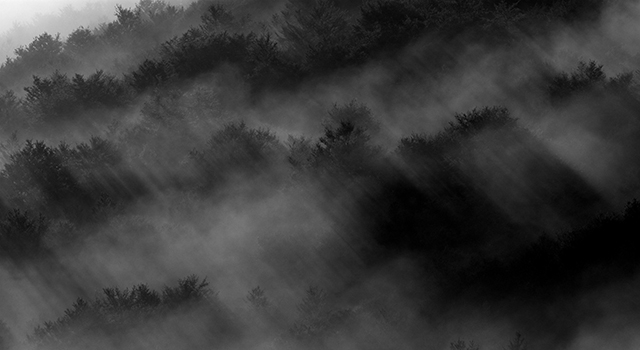 Impermanence