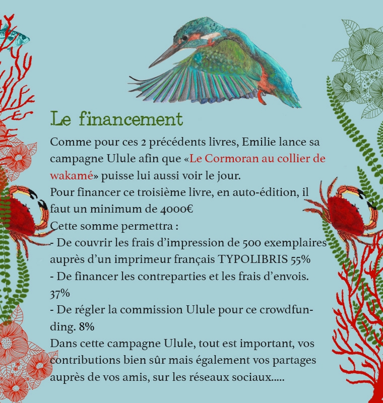Le cormoran au collier de wakamé