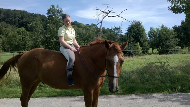 Equi-Etho création