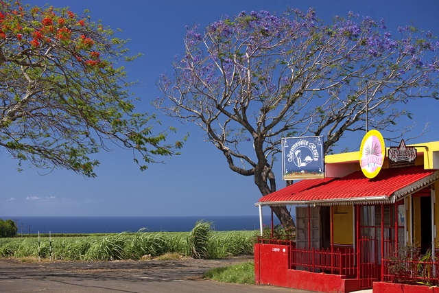 Eco Trip Mauritius - Ulule