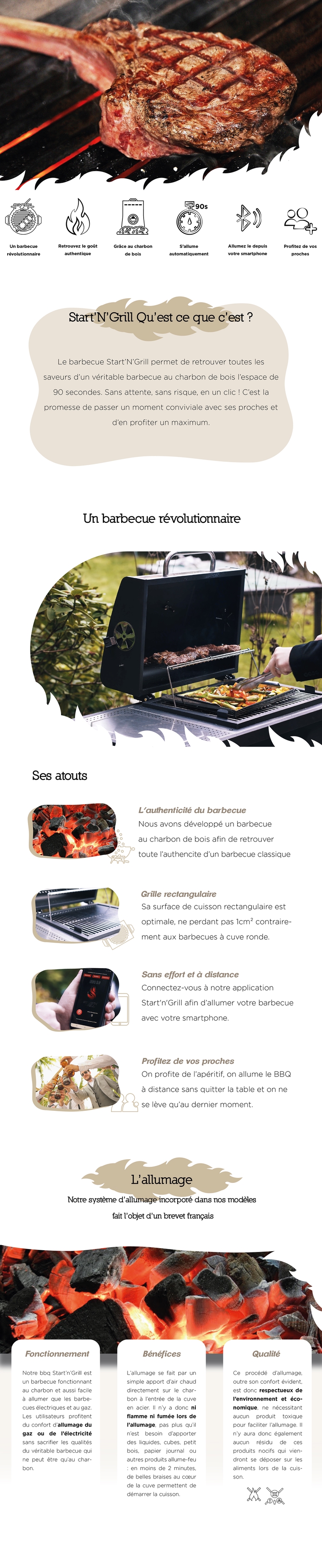 Barbecue Start'N'Grill