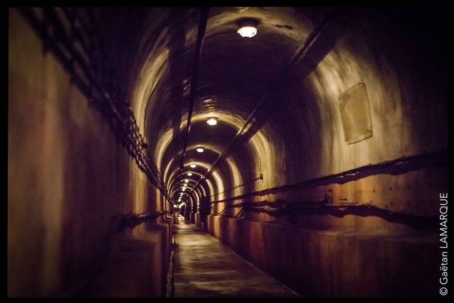 Programme ARCA - Ulule