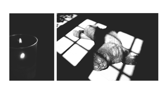 Confinement - Le livre - Ulule