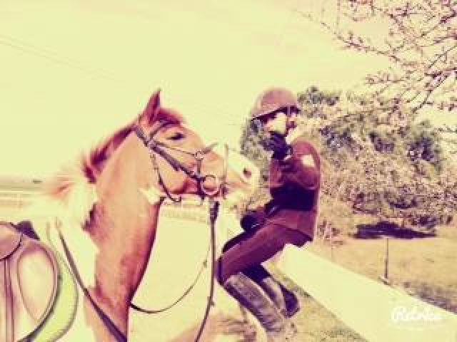 En route pour le Championnat de france de saut d'obstacles 2014 - Ulule
