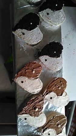 Sunny Side Cakes