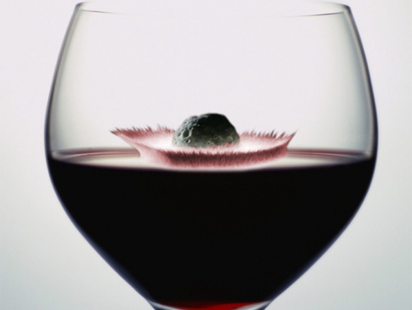 Un Vin... à la Météorite (chardonnay d'Arbois) - Ulule