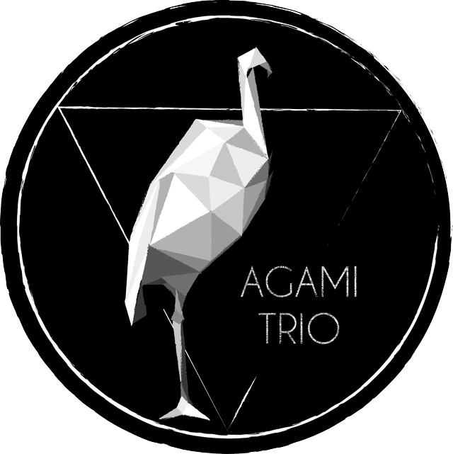 Agami Trio - Ulule