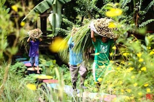 Mission Humanitaire aux Philippines - Ulule