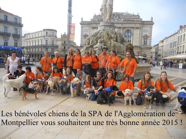 Aidons la SPA de Montpellier ! - Ulule