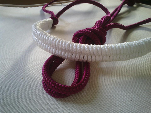 Equi-Etho création