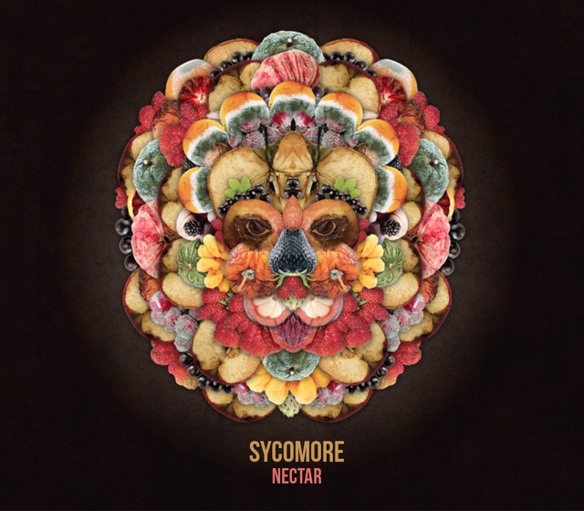 Sycomore nouvel album