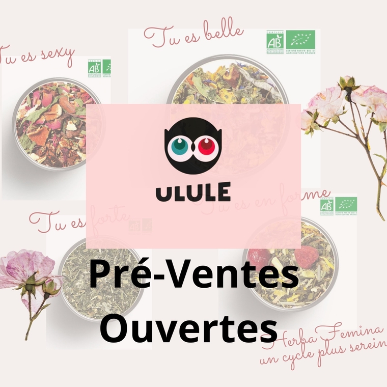Mes infusions en lien avec le cycle menstruel - Ulule