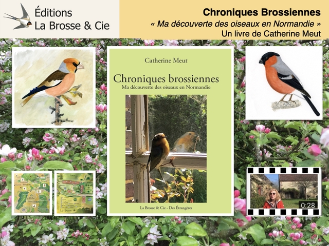 Ma découverte des oiseaux en Normandie. - Ulule