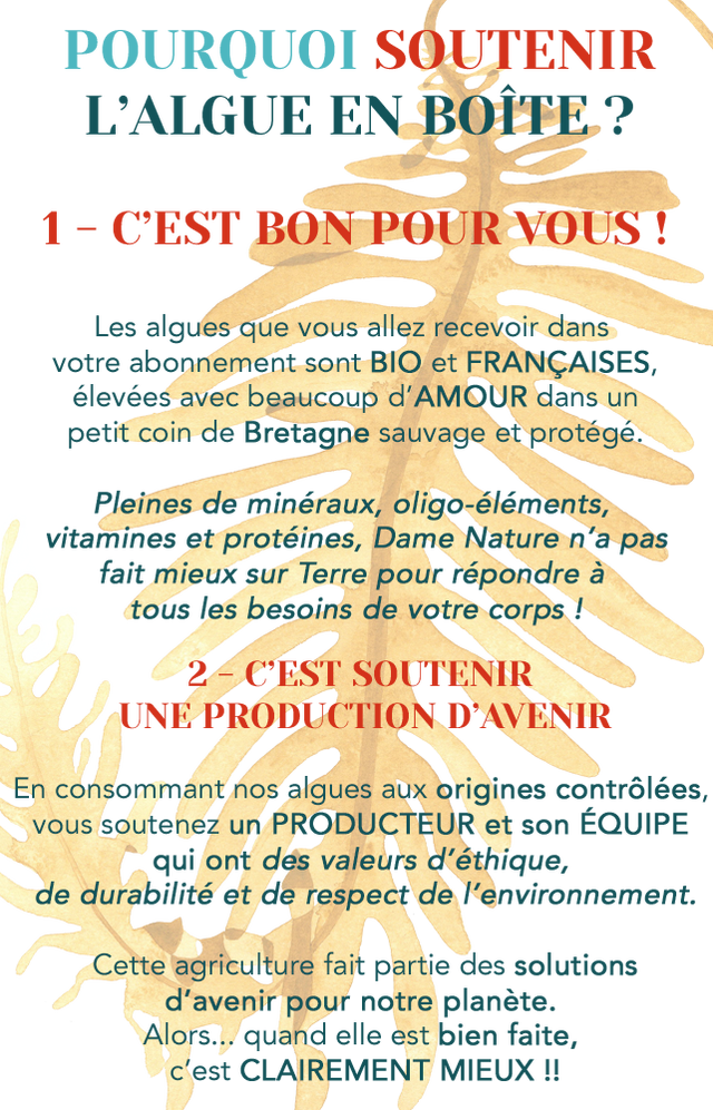 L' Algue en Boîte