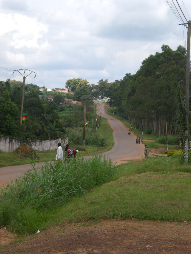 Projet Eau Cameroun - Ulule