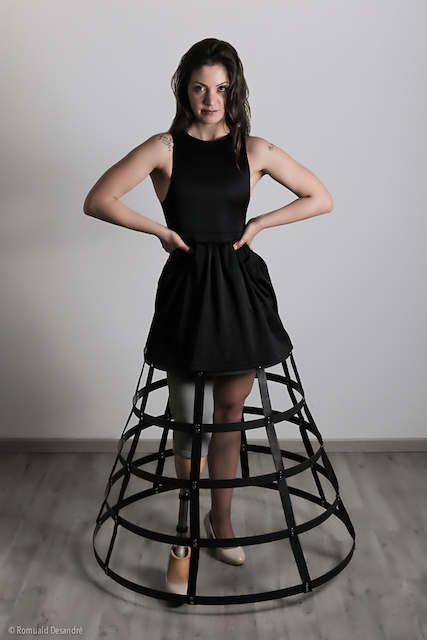 Phoenix Alternative Models - Ulule