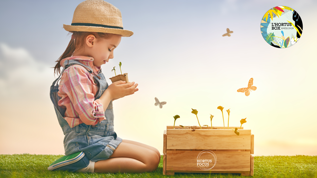 Hortus Focus et Hortus Box : Le jardin 360° - Ulule