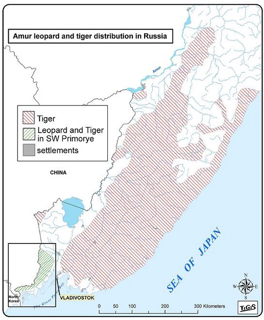 Mission Tigre de Sibérie - Ulule
