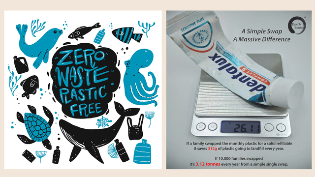 Earth Sense Organics Solid Toothpastes