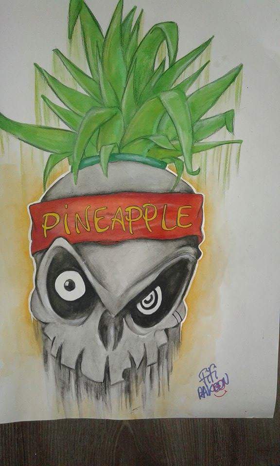 Pineapple Premier Album Crazy - Ulule