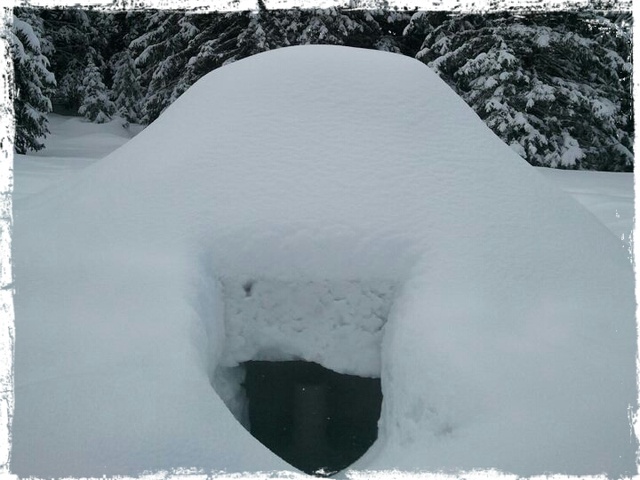 Igloo
